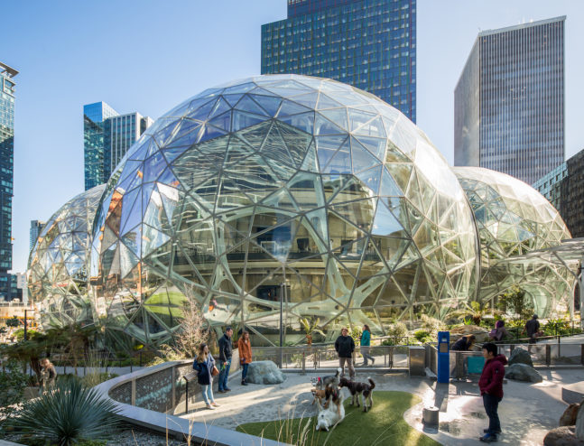 Amazon Spheres Takes Biophilic Design to New Heights – Lumiflon FEVE Resins