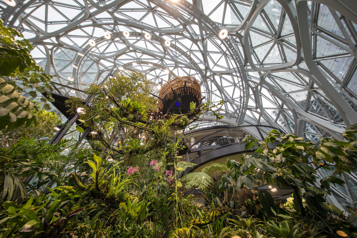 Amazon Spheres Takes Biophilic Design to New Heights – Lumiflon FEVE Resins