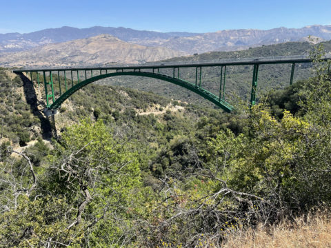 Blog – Lumiflon FEVE Resins